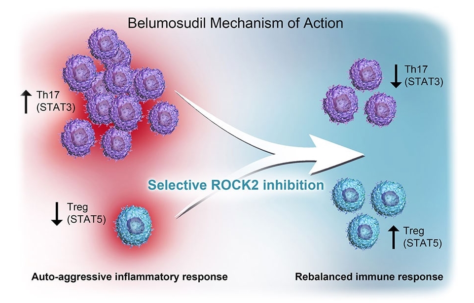 첫 번째 ROCK2 표적 치료제 '레주록'..."안정적이고 지속적"
