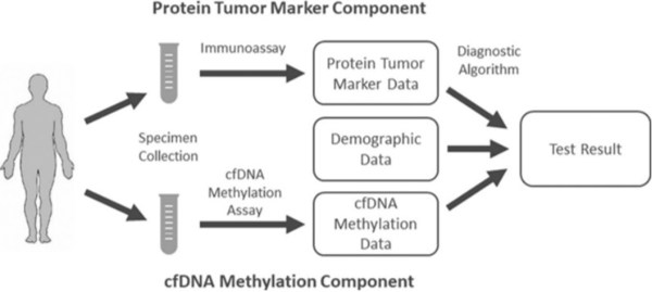 莱盟集团旗下Helio Genomics获得用于肝癌测试的CPT代码