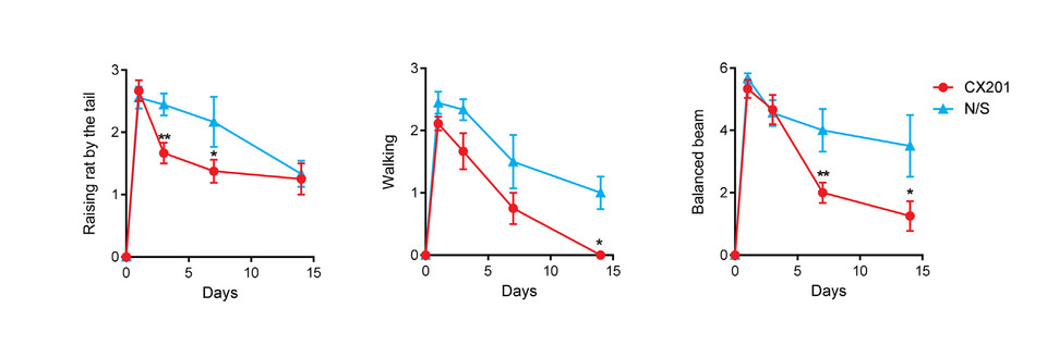 세리아 나노입자 기반 CX201, 외상성 뇌손상 이후 신경학적 회복 속도 높여