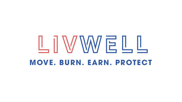Eyeing Indian Insurance Market, LivWell Asia Wins Seat to Bag Flipkart's Venture Investment