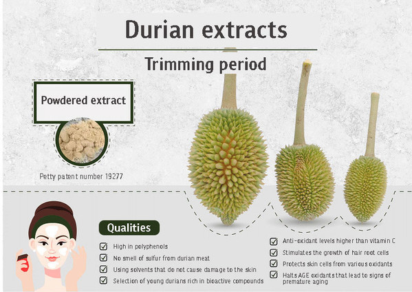 Anti-Oxidant Extracts from Young Durians - Potential Value-Added ...