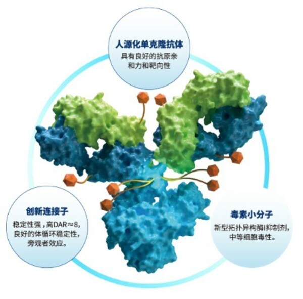 入选口头报告 科伦博泰将于ESMO 2023公布SKB264（MK-2870, TROP2-ADC）治疗HR+/HER2-乳腺癌最新临床研究结果