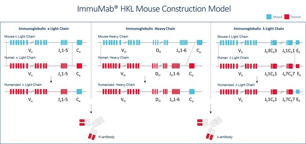 Increasing Possibility of Success by Expanded Antibody Repertoires with ...