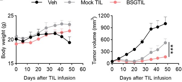 Biosyngen Best-in-Class Next-Generation Tumor-Infiltrating Lymphocyte ...