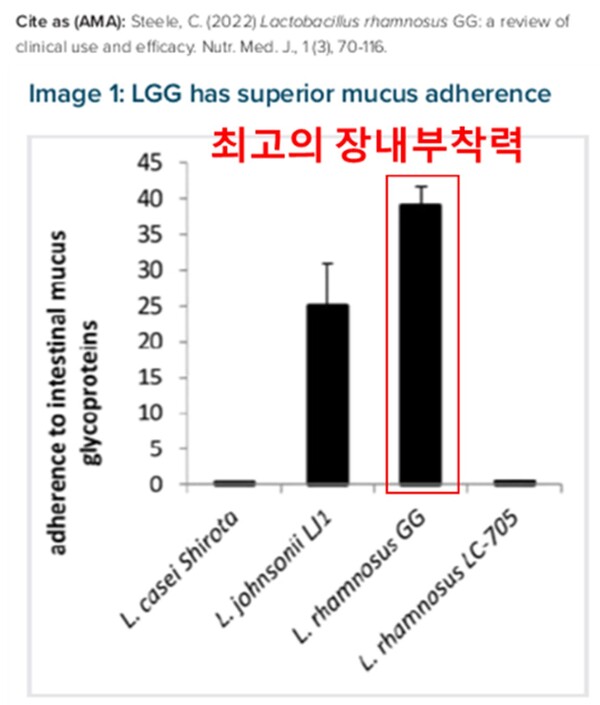락토바실러스 람노서스(Lacticaseibacillus rhamnosus) GG와 아이들 건강